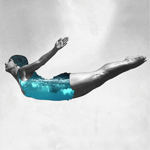 Swimmer Panda GIFs - Get the best GIF on GIPHY