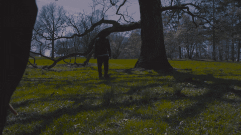 Downtown-wilmington GIFs - Get the best GIF on GIPHY