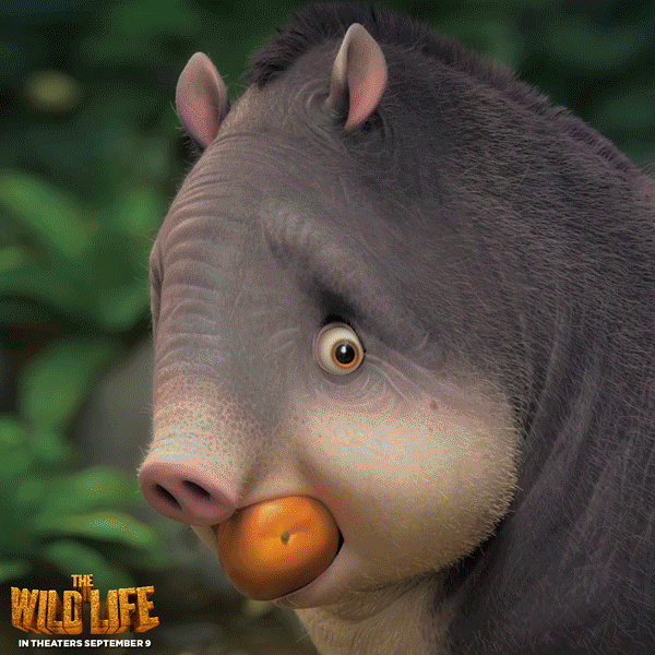The Wild Life GIFs - Get the best GIF on GIPHY