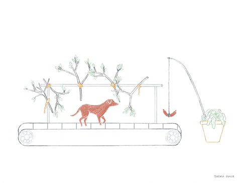 Dog-walking-machine GIFs - Get the best GIF on GIPHY