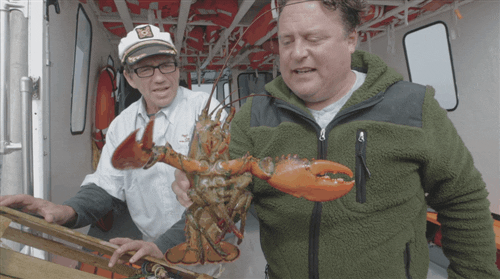 Canadian-lobster GIFs - Get the best GIF on GIPHY