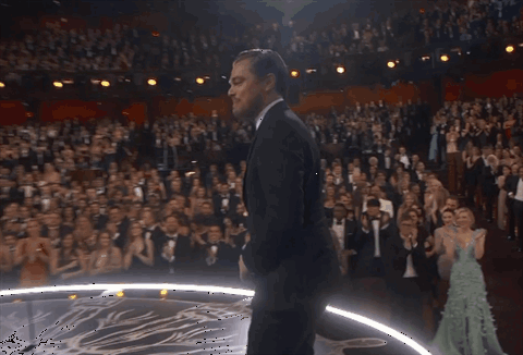 Leonardo Dicaprio Oscars GIF by The Academy Awards - Find & Share on GIPHY