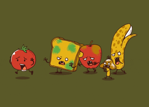 Zombie Food GIFs - Get the best GIF on GIPHY