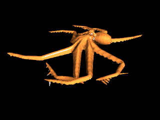 Cuttle Fish GIFs - Get the best GIF on GIPHY