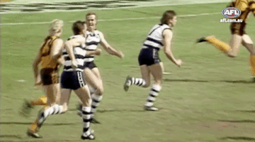 Afl Grand Final GIFs - Find & Share on GIPHY