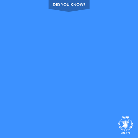 Wfp GIFs - Get the best GIF on GIPHY