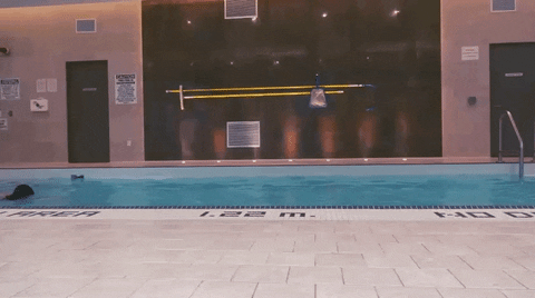 Front Crawl GIFs - Get the best GIF on GIPHY