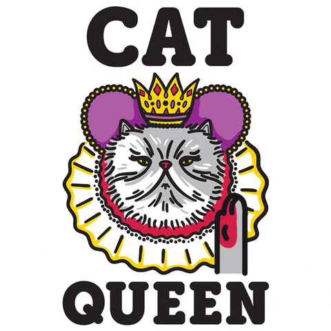 Cat-queen GIFs - Get the best GIF on GIPHY