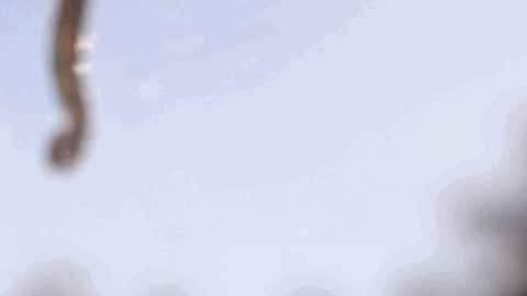 Florida Keys Netflix GIF by Bloodline - Find & Share on GIPHY
