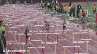 Hurdles Fail
