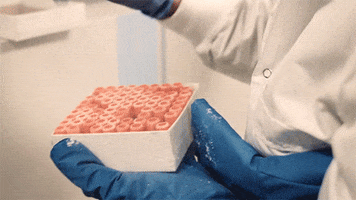 Test Medicine GIF by University of California - Find & Share on GIPHY