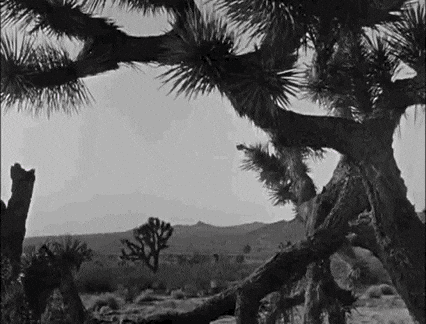 Them GIFs - Get the best GIF on GIPHY