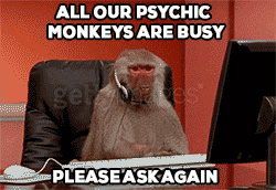 Office Monkey GIFs - Find & Share on GIPHY