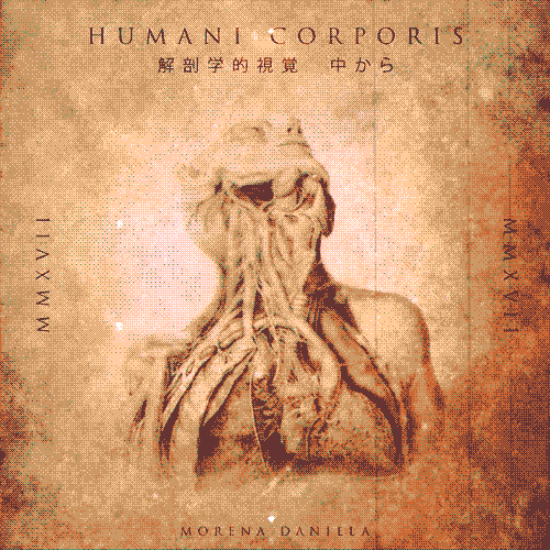 Dissections GIFs - Get the best GIF on GIPHY