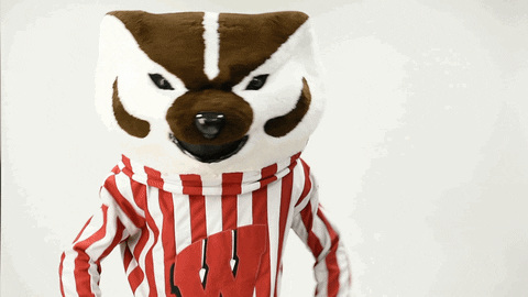 Wisconsin Badgers GIF by uwmadison - Find & Share on GIPHY