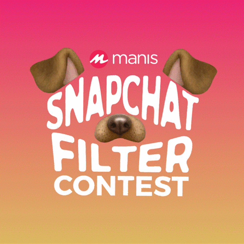 Snapchat Contest GIFs - Get the best GIF on GIPHY