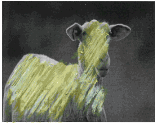 Gregory Markus GIFs - Get the best GIF on GIPHY