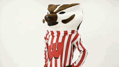 Wisconsin Badgers GIF by uwmadison - Find & Share on GIPHY