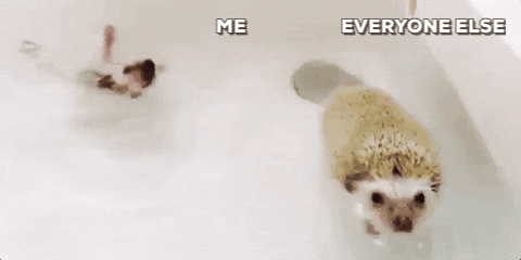 Stay Afloat GIFs - Get the best GIF on GIPHY