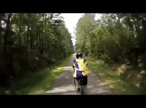 National-lampoons-european-vacation GIFs - Get the best GIF on GIPHY