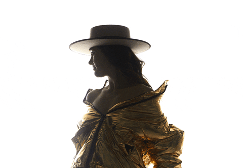 Deluxe-gold GIFs - Get the best GIF on GIPHY