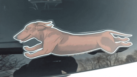 Flying Wiener Dog GIF by WiperTags - Find & Share on GIPHY