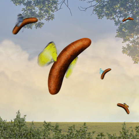 Animation Flying GIF by Kajetan Obarski - Find & Share on GIPHY