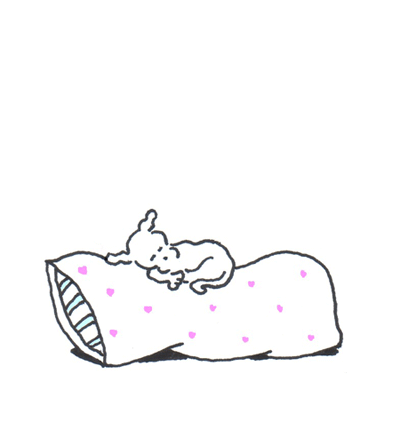 Good Night Sleeping GIF by Chippy the dog - Find & Share on GIPHY