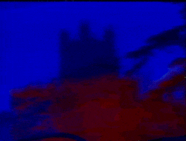 Calibration GIFs - Find & Share on GIPHY