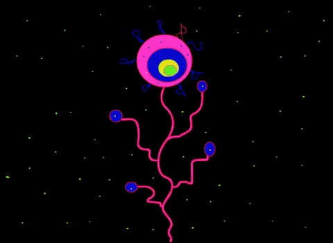 Sacred Dreams GIFs - Get the best GIF on GIPHY