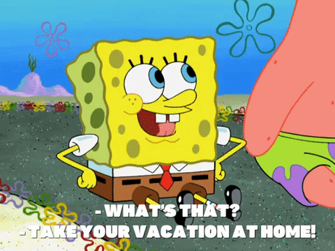 Season 8 Spongebob'S Runaway Roadtrip: Patrick'S Staycation GIF by ...