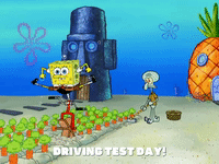 Spongebob Test Gif