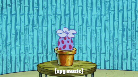 Season 9 The Fish Bowl GIF by SpongeBob SquarePants - Find & Share on GIPHY