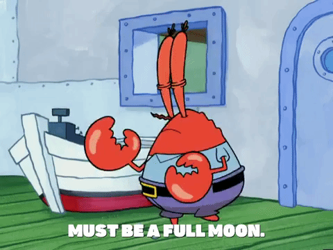 Haplos Full Episode GIFs - Get the best GIF on GIPHY