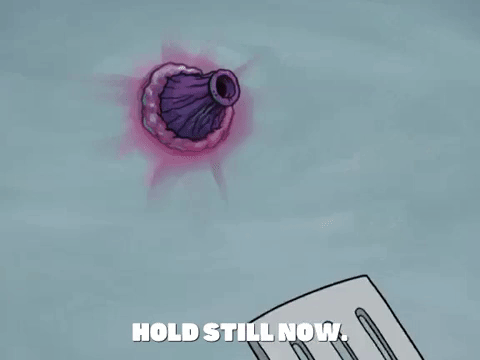 Season 8 Barnacle Face GIF by SpongeBob SquarePants - Find & Share on GIPHY