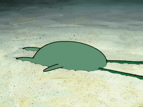 Season 5 Episode 6 GIF by SpongeBob SquarePants - Find & Share on GIPHY