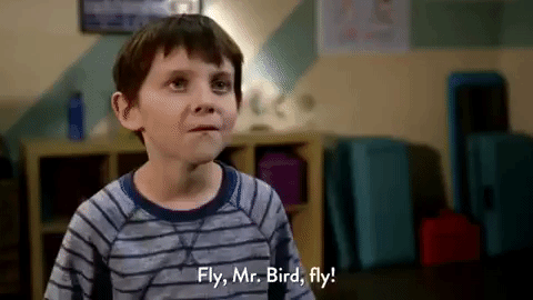 Birds-fly GIFs - Get the best GIF on GIPHY