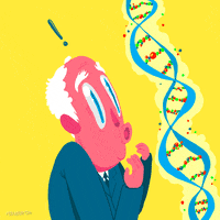 Dna Replication Animation Gif