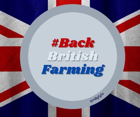 Eat Local GIFs - Get the best GIF on GIPHY