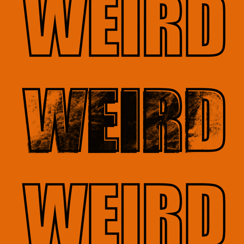 Text Reaction GIF - Find & Share on GIPHY