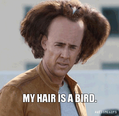 Every Nic Cage GIF You Could Ever Want by Reaction GIFs | GIPHY
