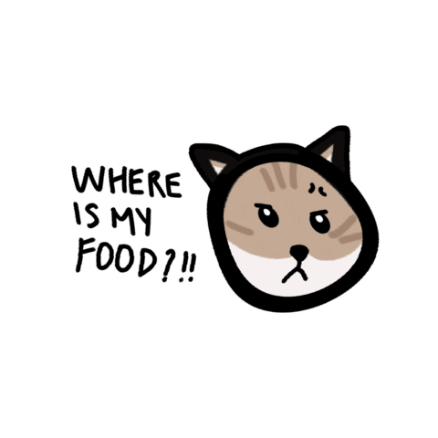 Hungry Cat Sticker for iOS & Android | GIPHY