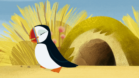 #Puffinrock #Puffin #Rock #Papa #Morning #Wakeupcall #Wakeywakey GIF by ...
