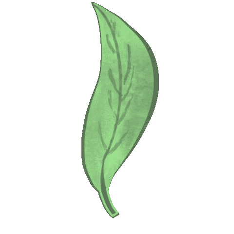 Green Leaf Spring Sticker for iOS & Android | GIPHY