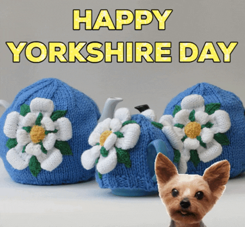 Yorkshire GIF by TeaCosyFolk - Find & Share on GIPHY