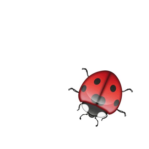 Lady Bug Summer Sticker by emoji® - The Iconic Brand for iOS & Android ...