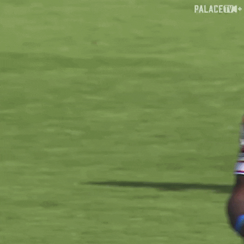 Shocked Premier League GIF by Crystal Palace Football Club - Find ...