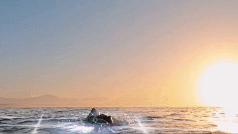 Jaws Gif