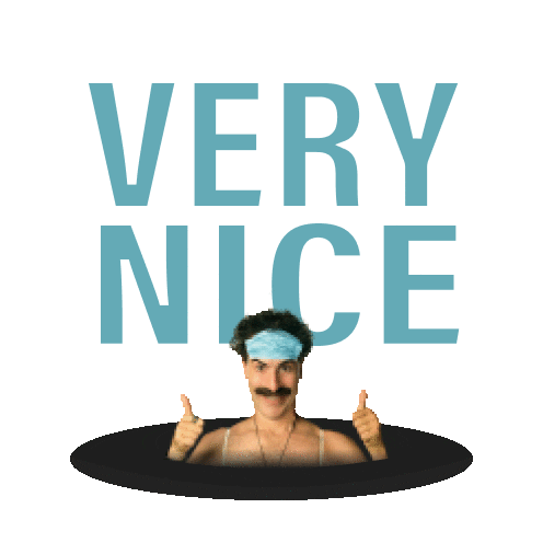 Borat Very Nice How Much Gif