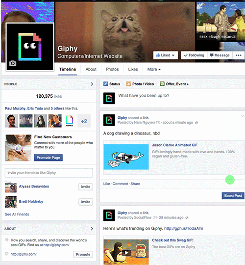 How To Share Gifs On Facebook GIF by How To Giphy - Find & Share on GIPHY